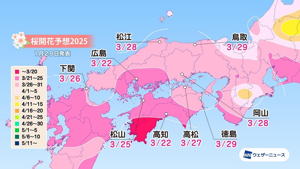 Updated Japan cherry blossom forecast maps move up predicted start of ...