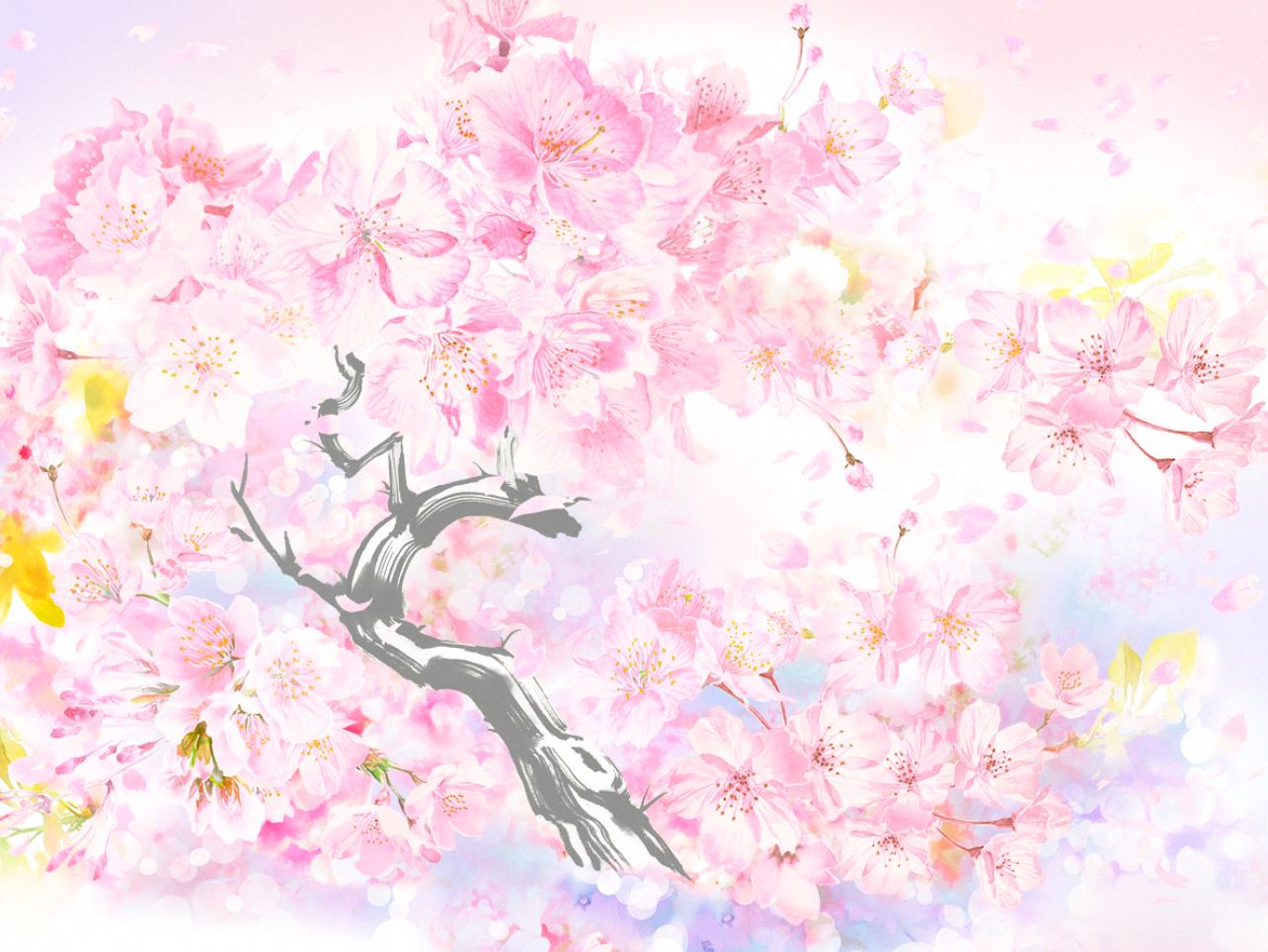 Starbucks Japan reveals new sakura drinkware collection, inspired by ...