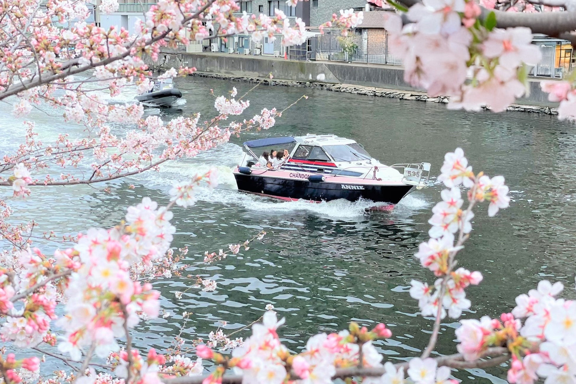 Reservations are now open for Tokyo’s Meguro River Ohanami Chandon ...