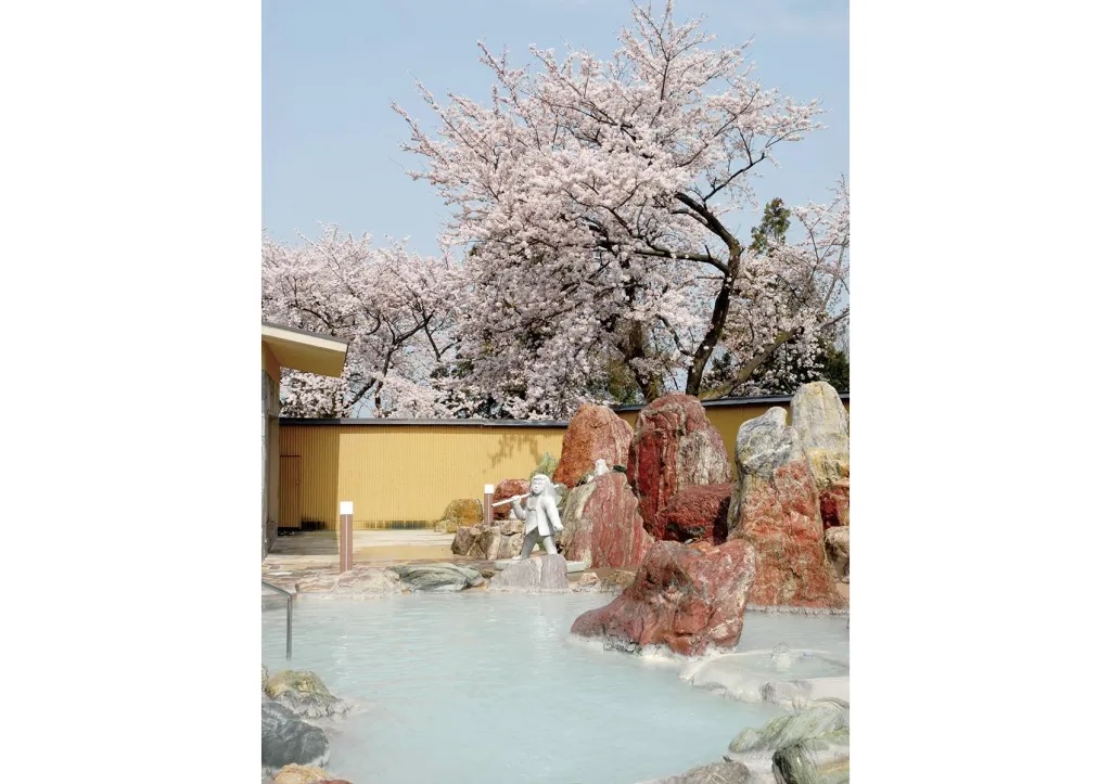 Japan’s top 10 open-air hot spring baths with cherry blossom views ...