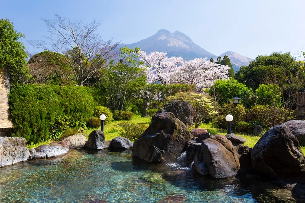 Japan’s top 10 open-air hot spring baths with cherry blossom views ...