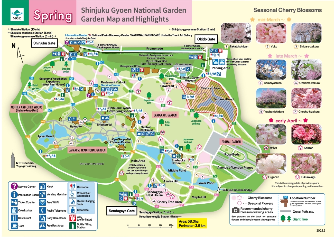 Tokyo sakura report: Why Shinjuku Gyoen beats Ueno Park for hanami ...