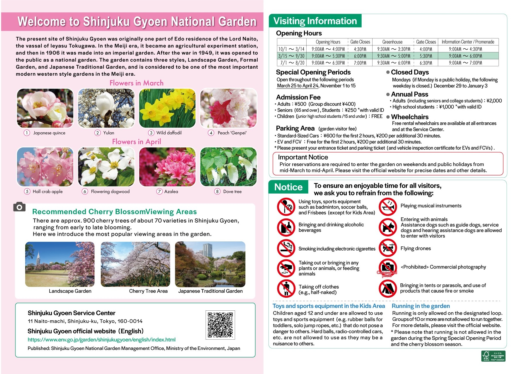 Tokyo sakura report: Why Shinjuku Gyoen beats Ueno Park for hanami ...