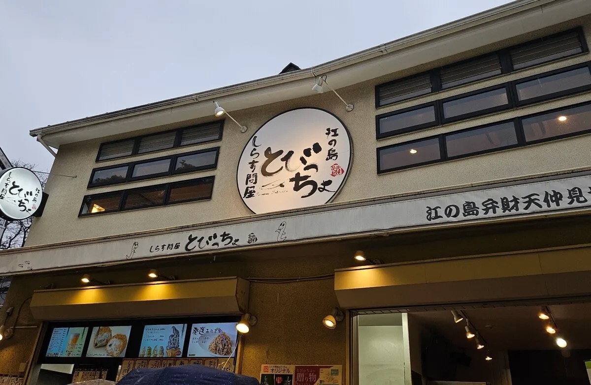 Shirasu ice cream at top Japanese tourist spot terrifies some, delights ...