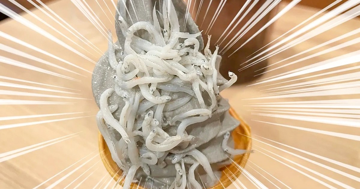 Shirasu ice cream at top Japanese tourist spot terrifies some, delights ...