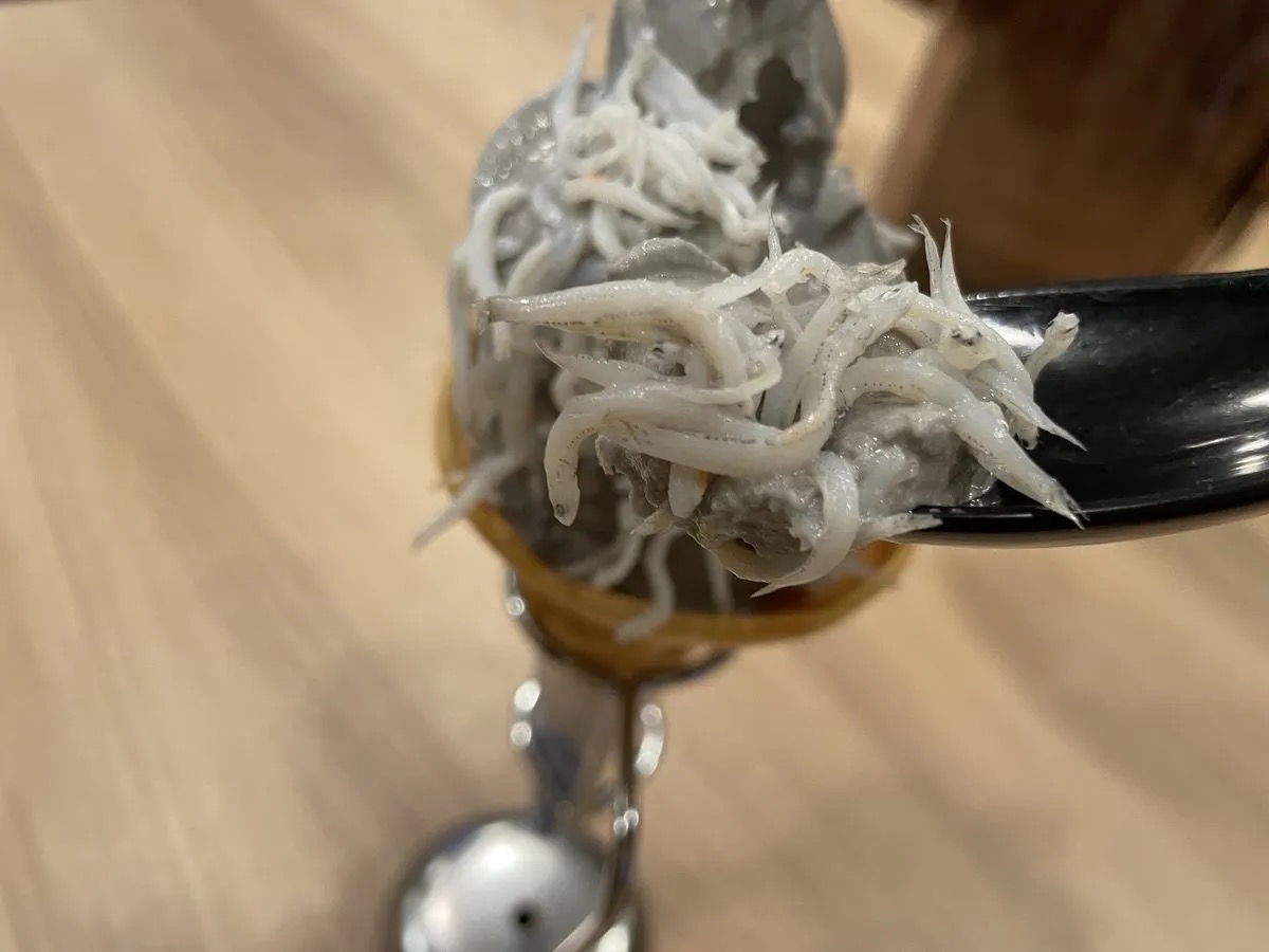 Shirasu ice cream at top Japanese tourist spot terrifies some, delights ...
