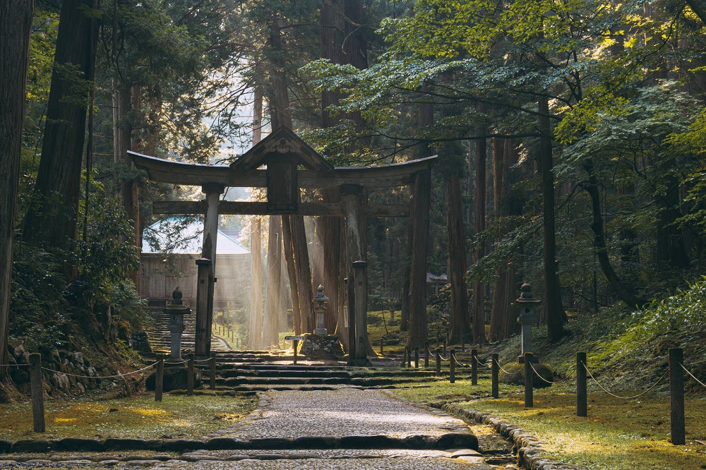 Real-life Ghost of Tsushima shrine announces ban of all “tourists,” but ...