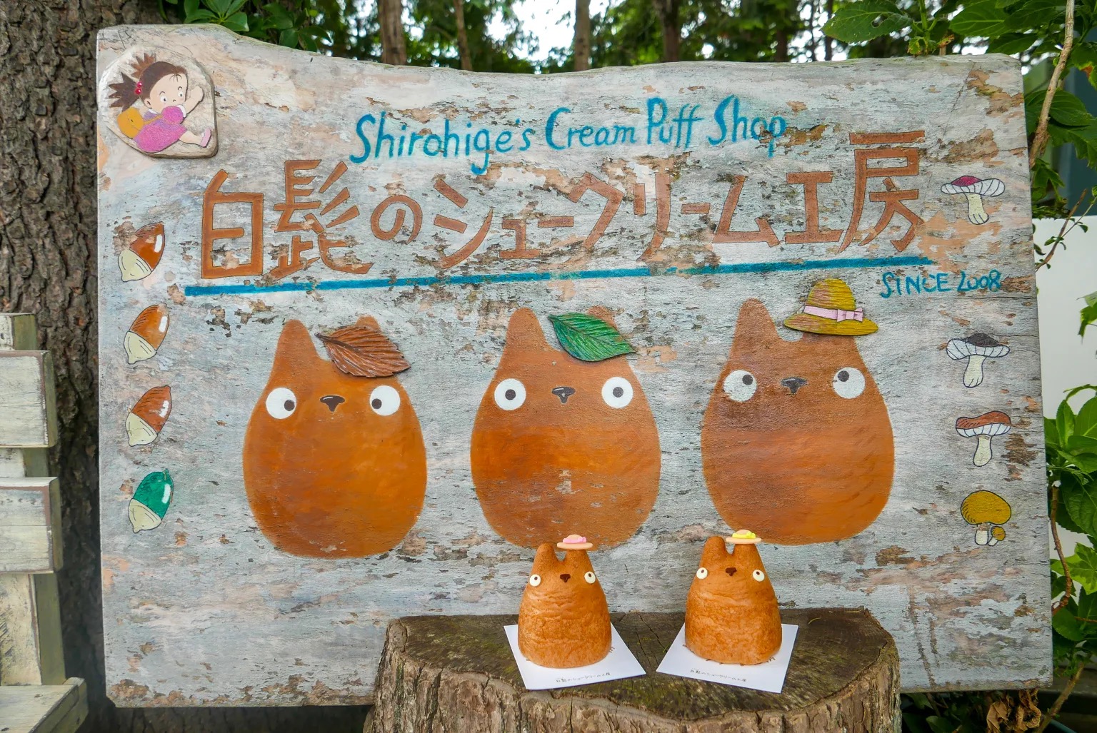 Studio Ghibli bakery adds Totoro sakura cakes to its sweet lineup in ...