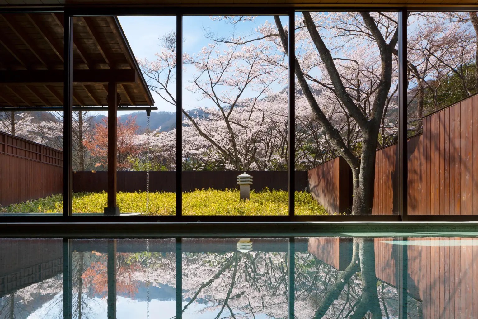 The top 9 sakura cherry blossom viewing spots in Japan that you should ...