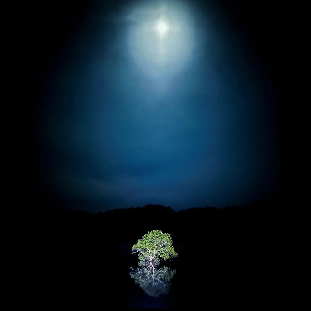 Japan’s submerged forest gets even more beautiful with Lake Shirakawa ...