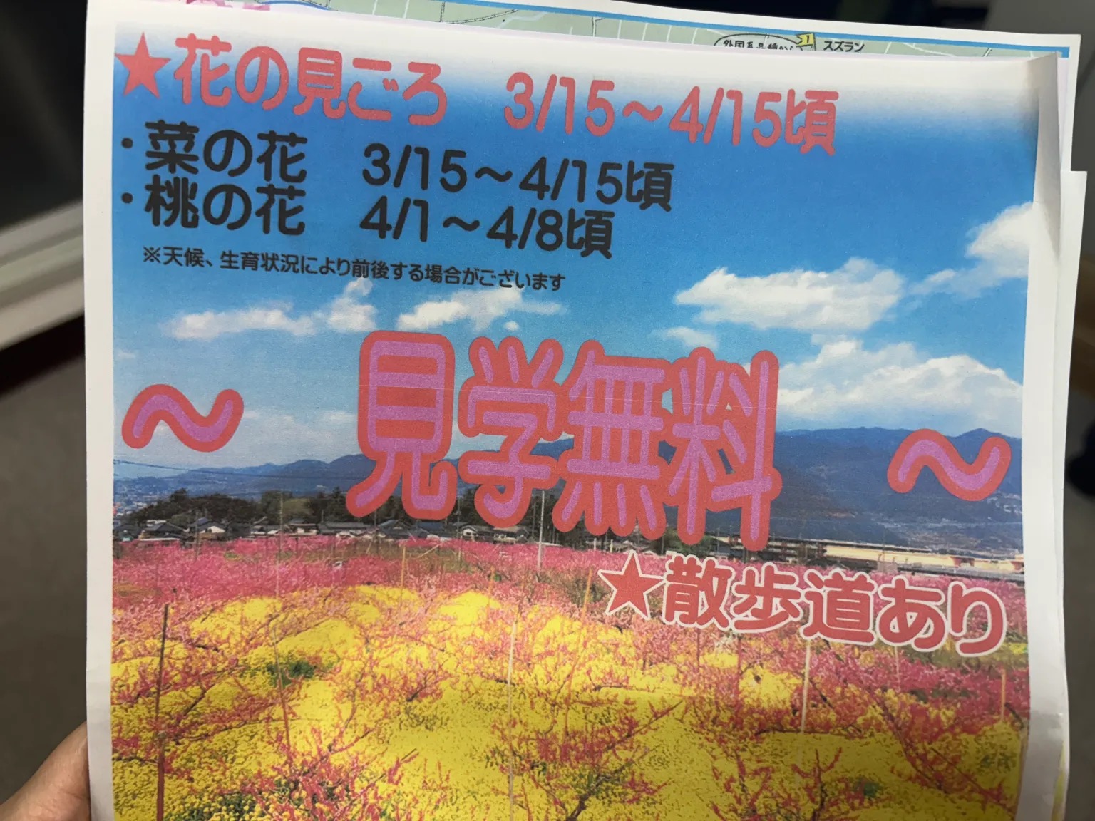This secret spring flower-viewing spot in Japan is yet to be discovered ...