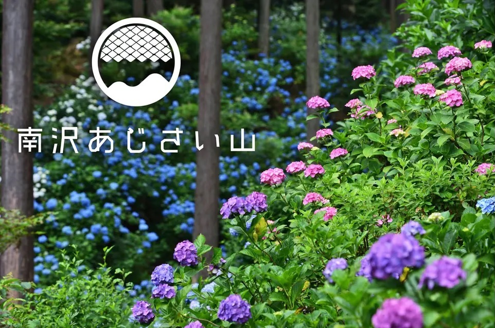 Tokyo’s Hydrangea Mountain is a spot of beauty created by one son’s ...