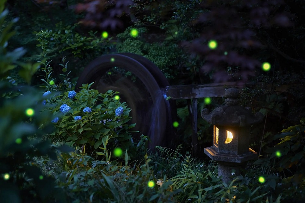 Fireflies in downtown Tokyo – Beautiful hotel garden begins hotaru ...