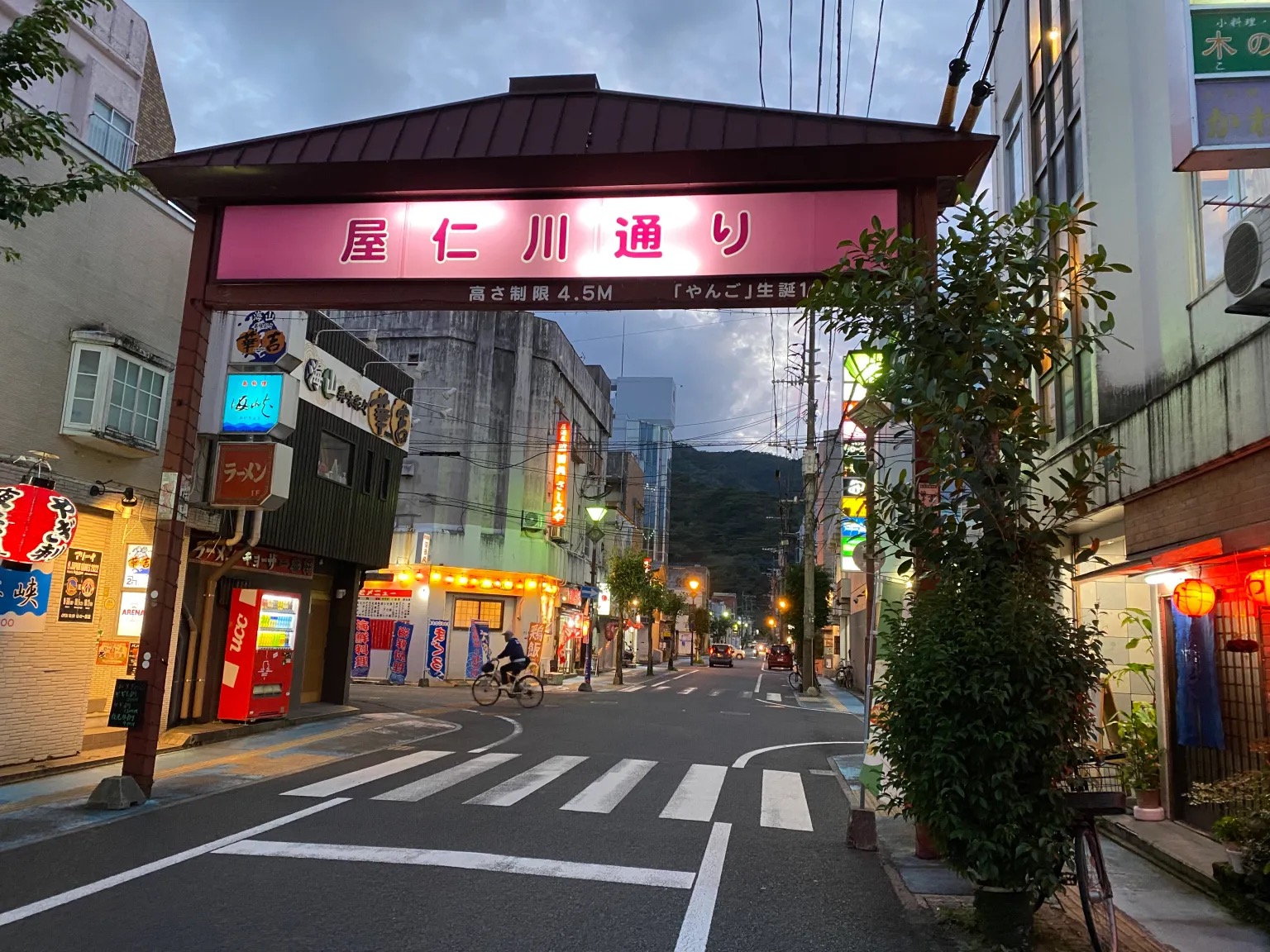 Eating venomous snake in Japan | SoraNews24 —Japan News—
