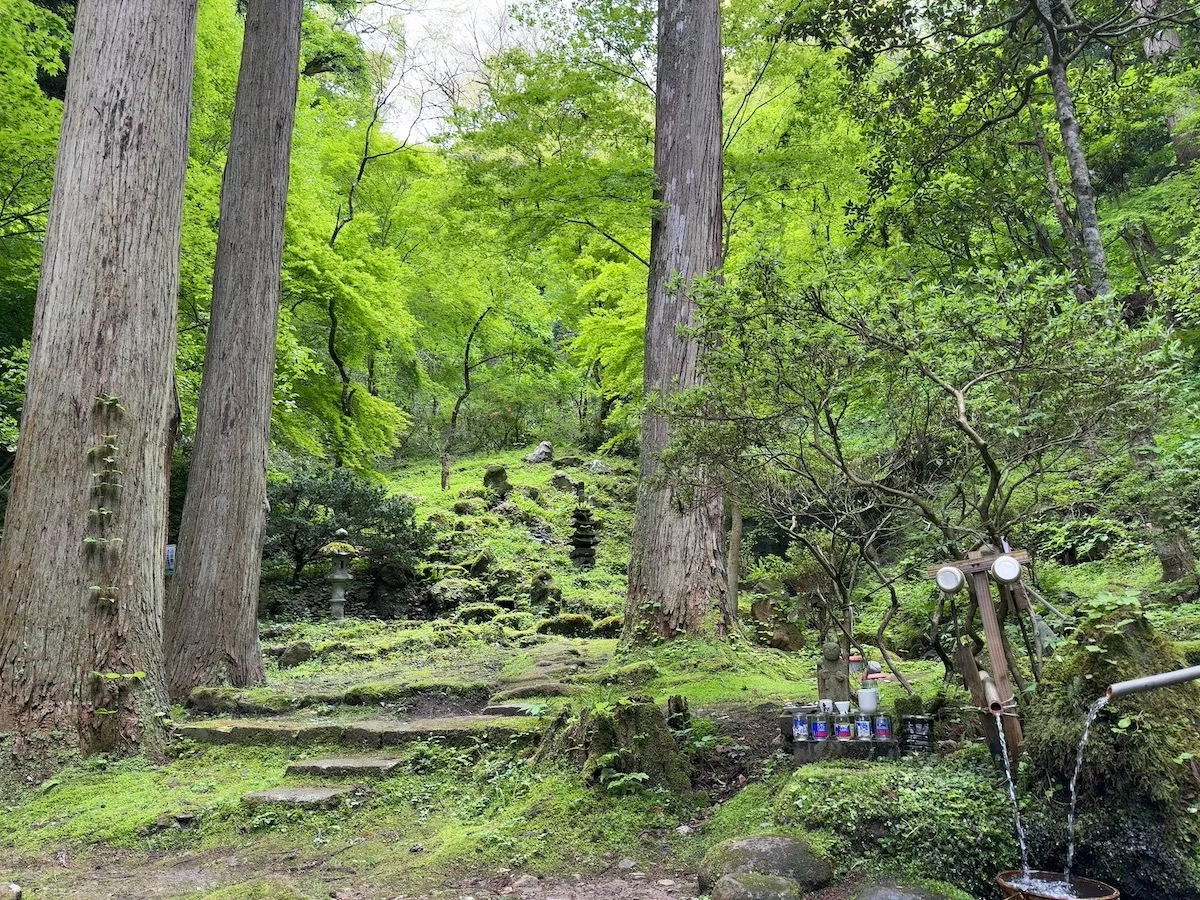 In search of the fish with a human face in Japan | SoraNews24 -Japan News-