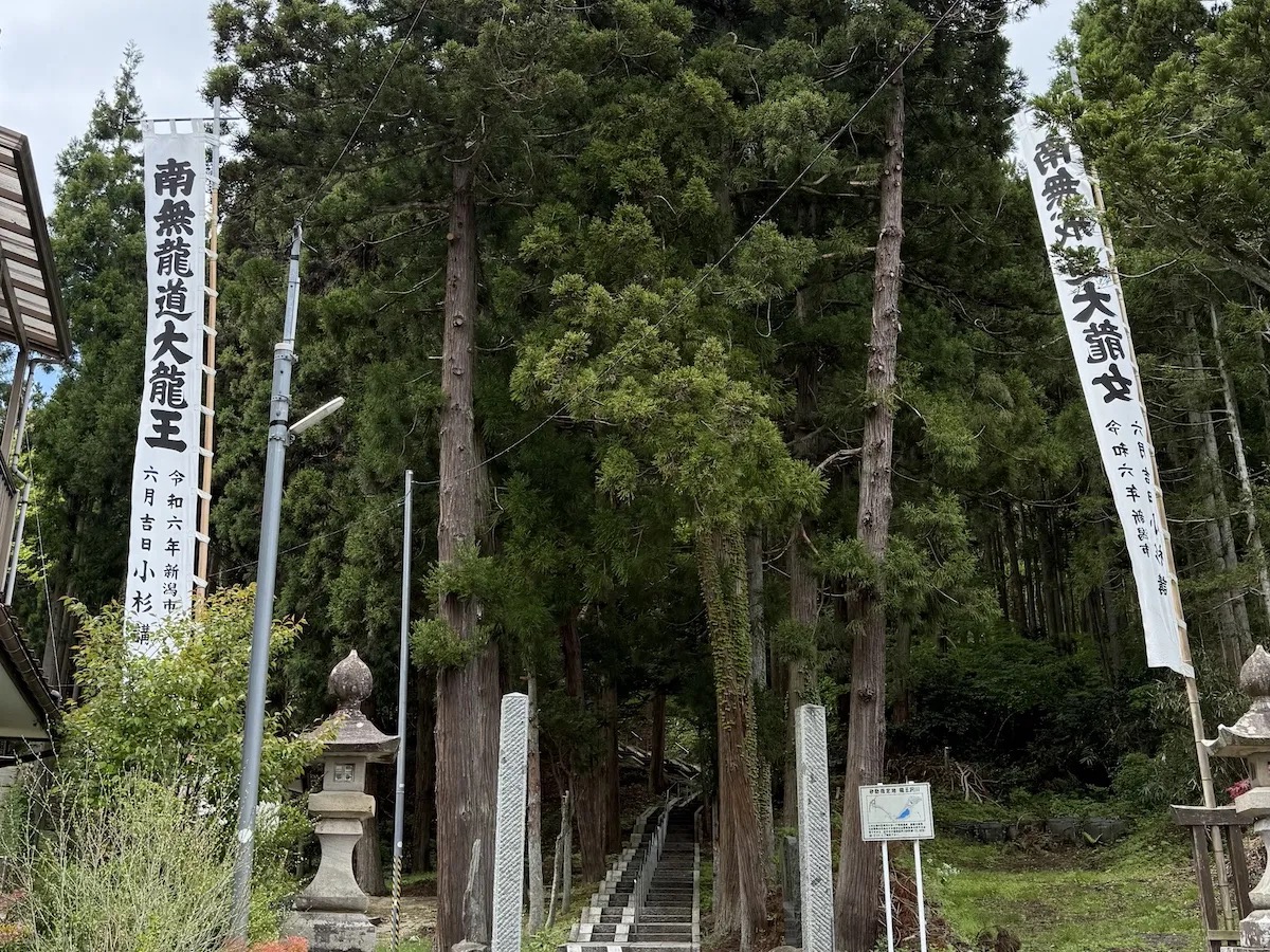 In search of the fish with a human face in Japan | SoraNews24 —Japan News—