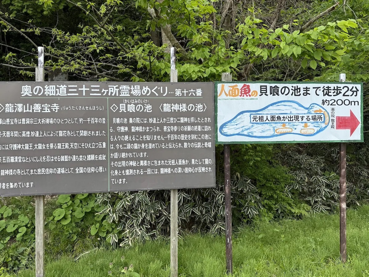 In search of the fish with a human face in Japan | SoraNews24 -Japan News-