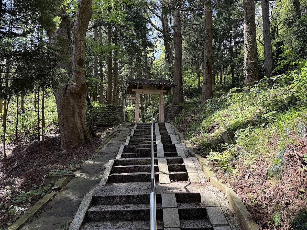 In search of the fish with a human face in Japan | SoraNews24 -Japan News-