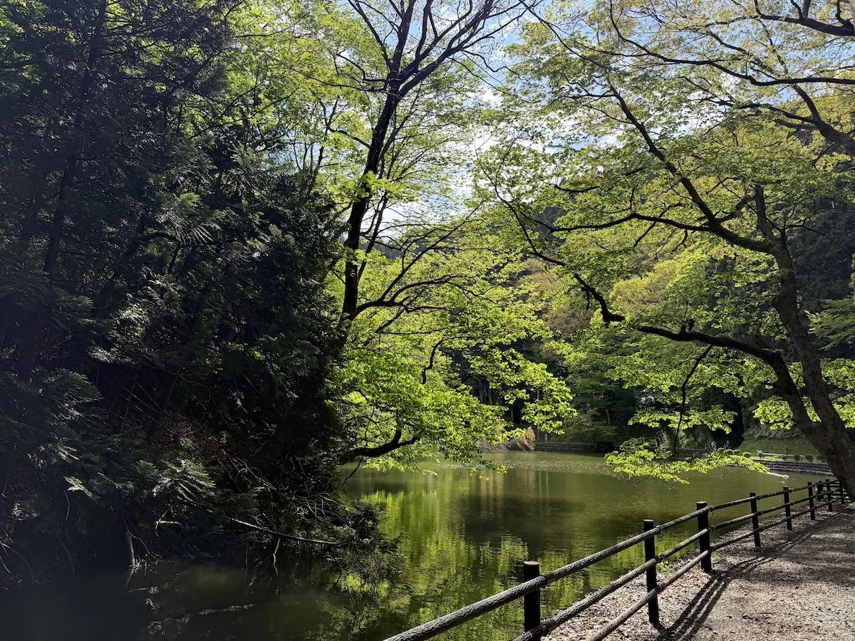 In search of the fish with a human face in Japan | SoraNews24 —Japan News—