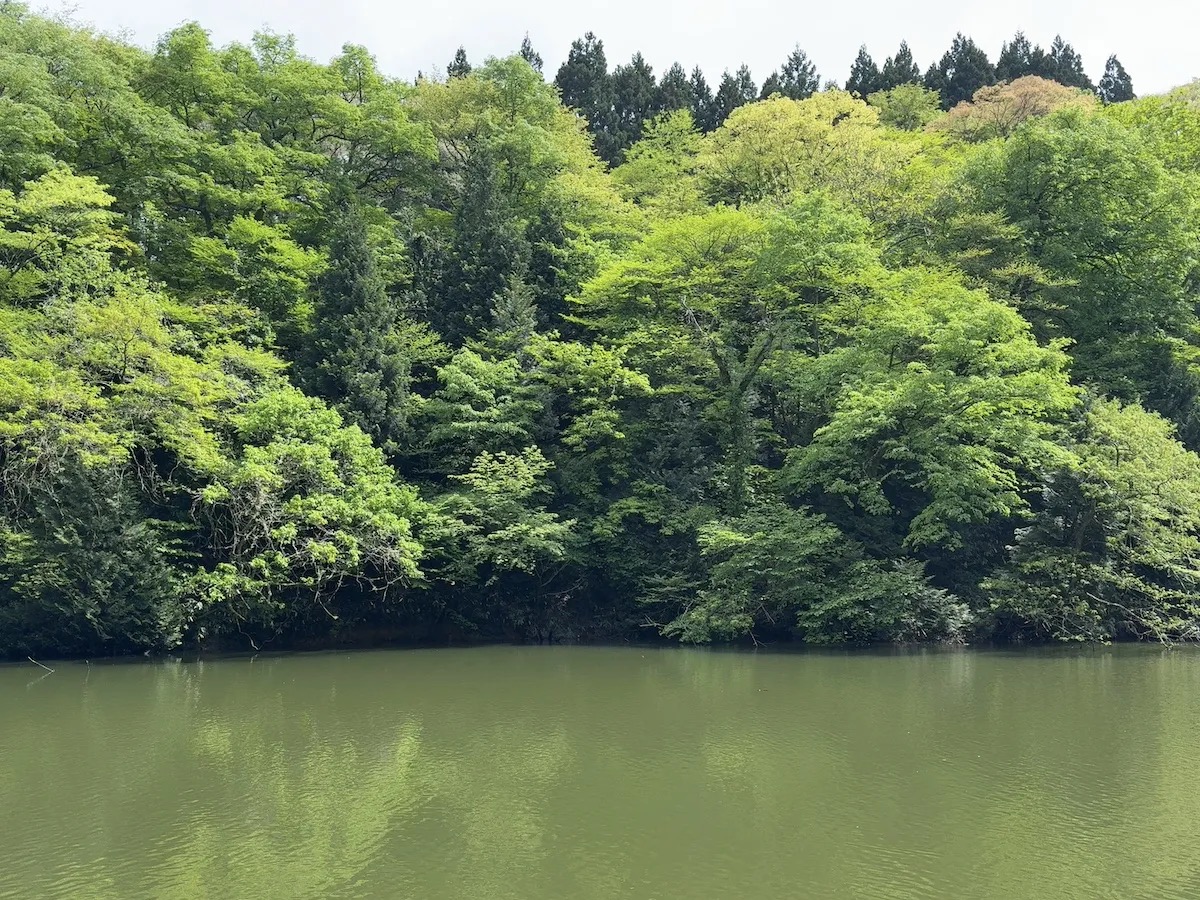 In search of the fish with a human face in Japan | SoraNews24 —Japan News—