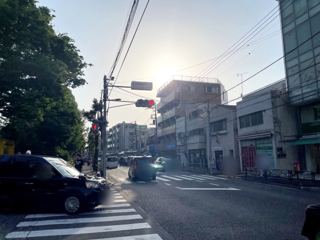 The adventure of skipping Tokyo’s crazy crowded commuter trains by ...