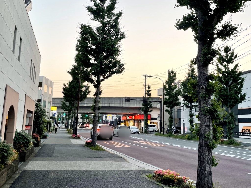 The adventure of skipping Tokyo’s crazy crowded commuter trains by ...