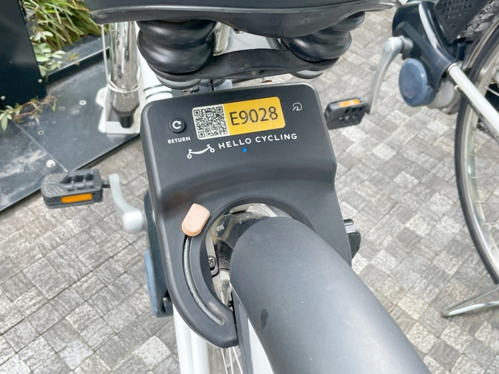 The adventure of skipping Tokyo’s crazy crowded commuter trains by ...