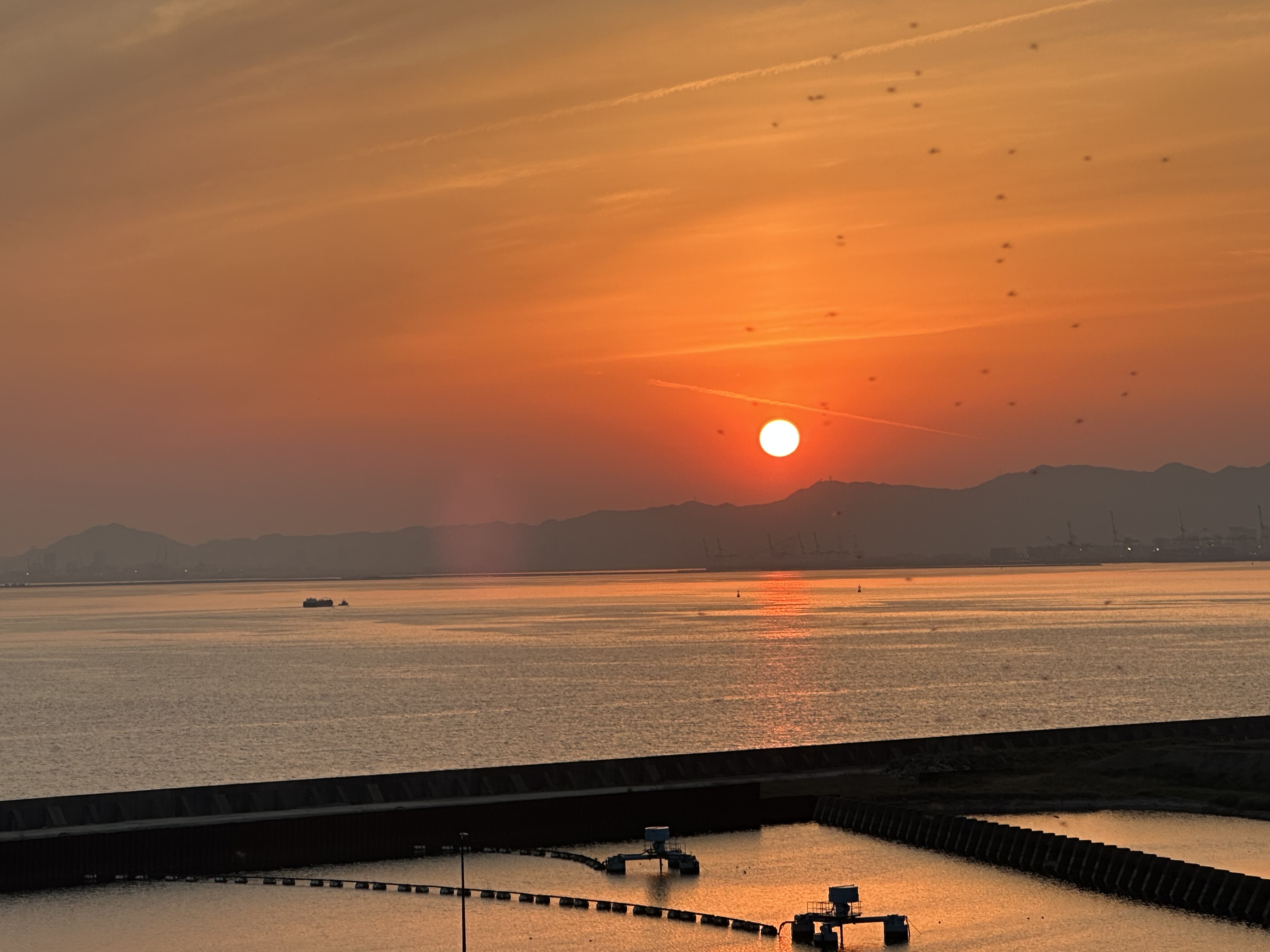 Osaka governor calls president of Earth to deal with swarms of Expo ...