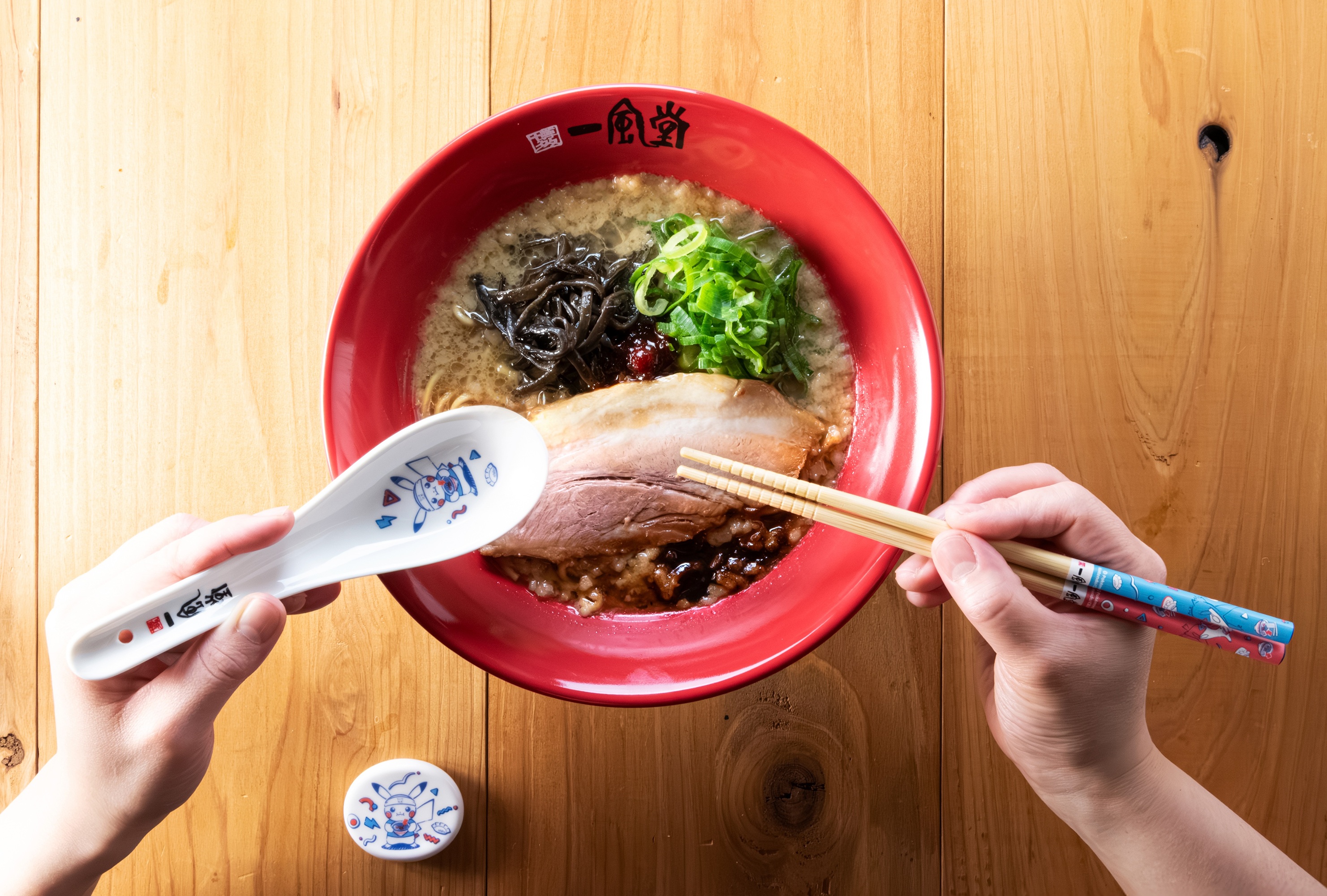 Diligent kitties conduct thorough bicycle examinations, keep the world ...