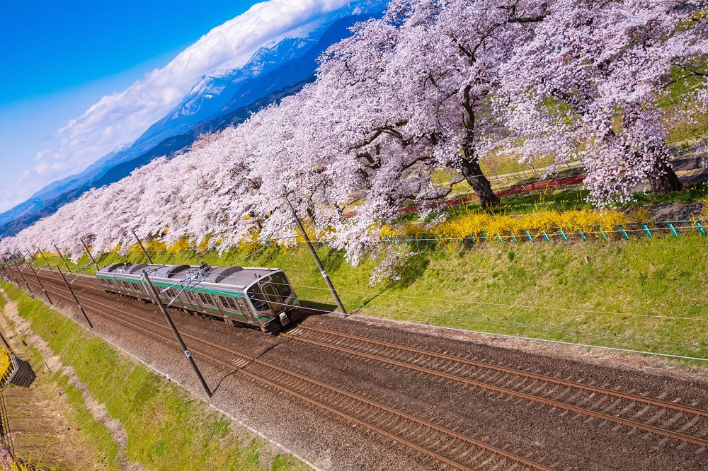 New unlimited-ride JR Japan rail pass is perfect for a laid-back trip ...