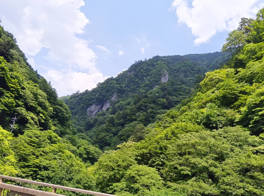 Our search for the coldest place in Tokyo to escape Japan’s heat wave ...