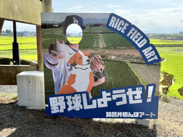Shohei Ohtani’s hometown creates rice paddy art and manhole cover in ...