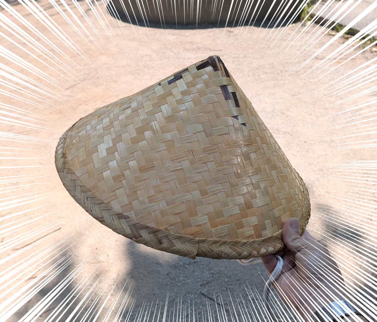 Why a sugegasa sedge hat needs to be your Japan summer essential ...