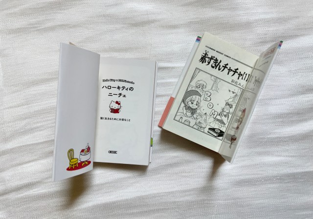 We snag some mini-sized Sanrio book and Ribon manga capsule toys to ...