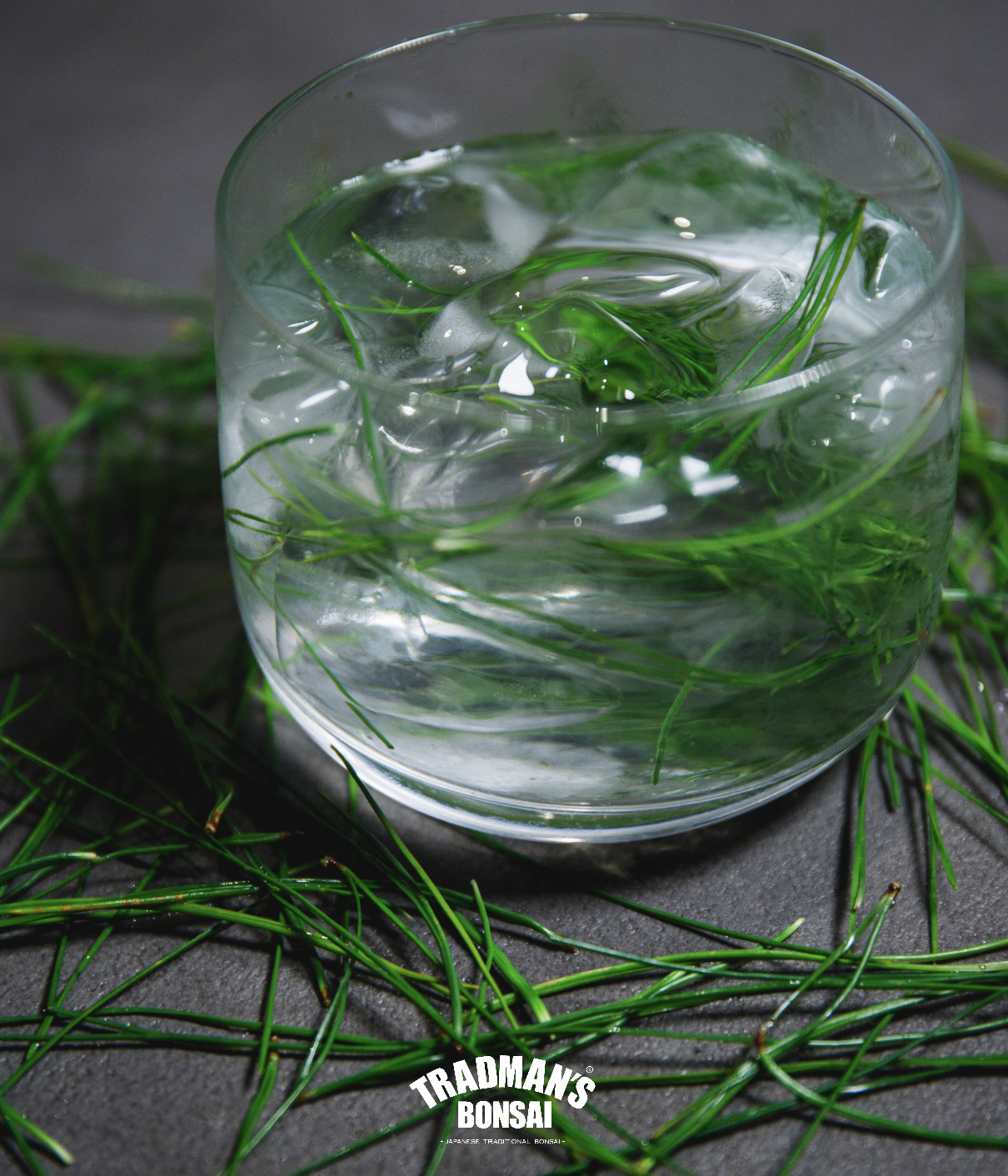 Bonsai-tree-flavored gin on sale now | SoraNews24 —Japan News—