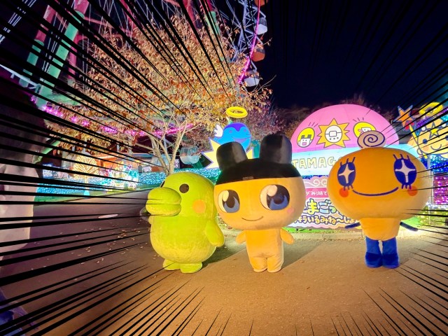 A guide to visiting Sagamiko Illumination, one of the three biggest ...