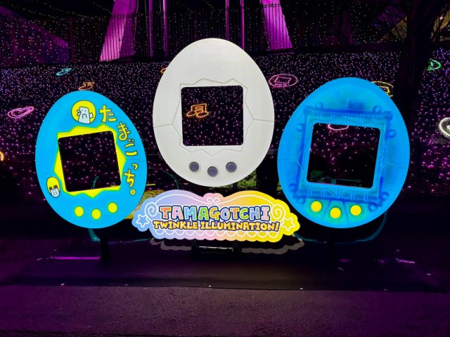 A guide to visiting Sagamiko Illumination, one of the three biggest ...