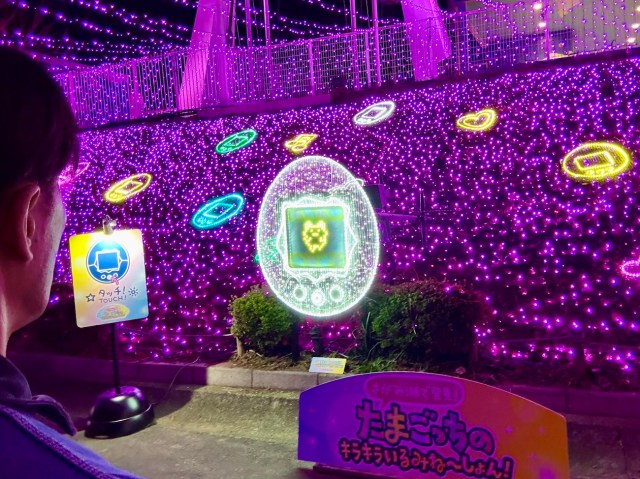 A guide to visiting Sagamiko Illumination, one of the three biggest ...