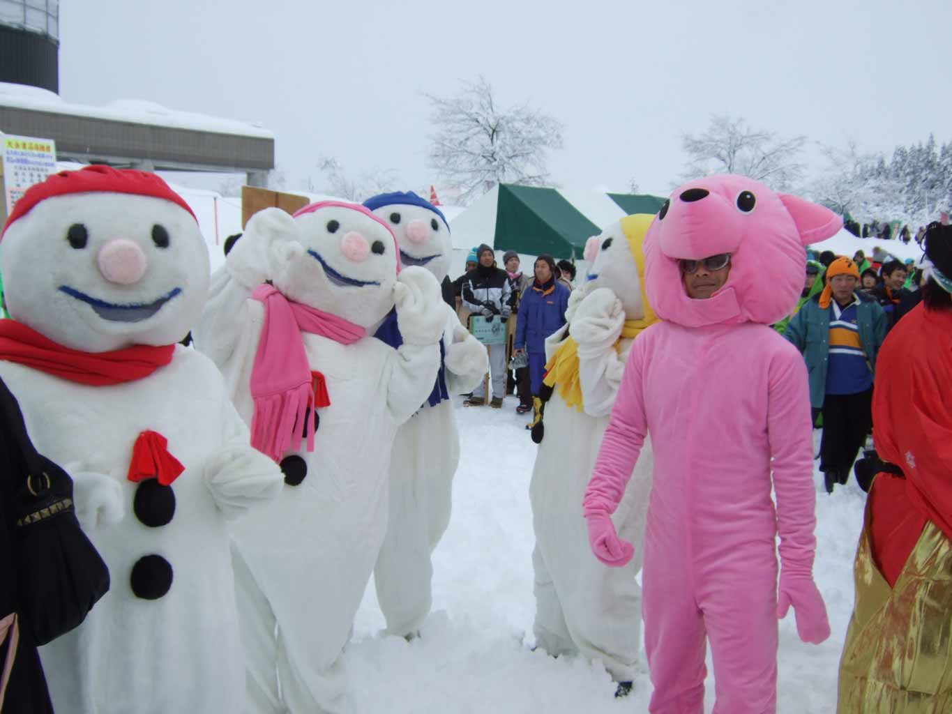 36th Annual International Snowball Fight Competition to be held in ...