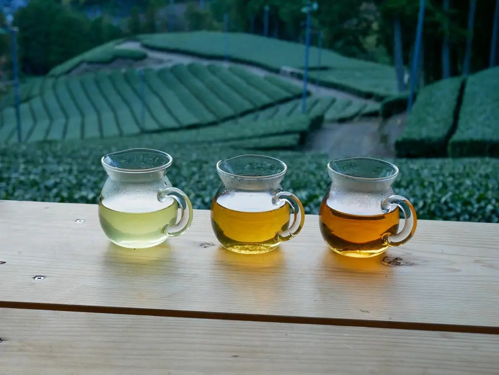 Why you should visit Shizuoka, the green tea oasis in the middle of ...