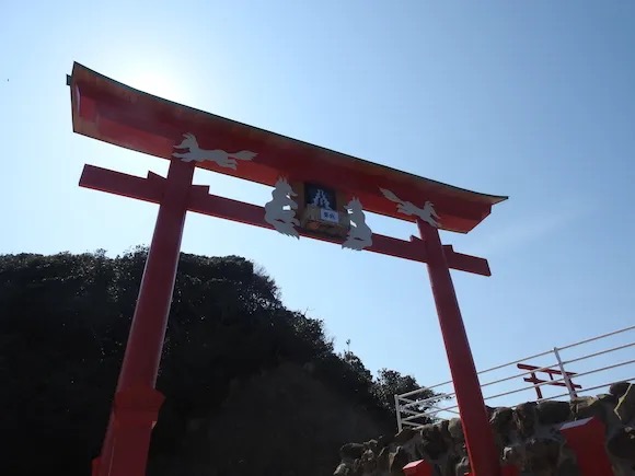 Famous koi ponds overwhelmed with tourists throwing thousands of coins ...