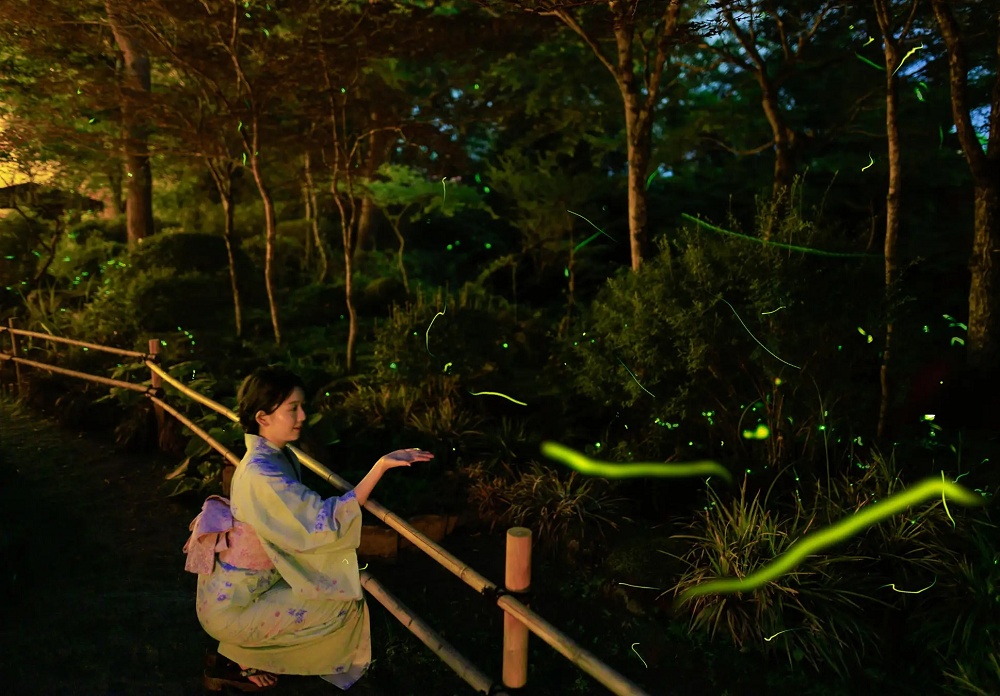 Mt. Fuji hot spring inn gets even more beautiful after dark with ...