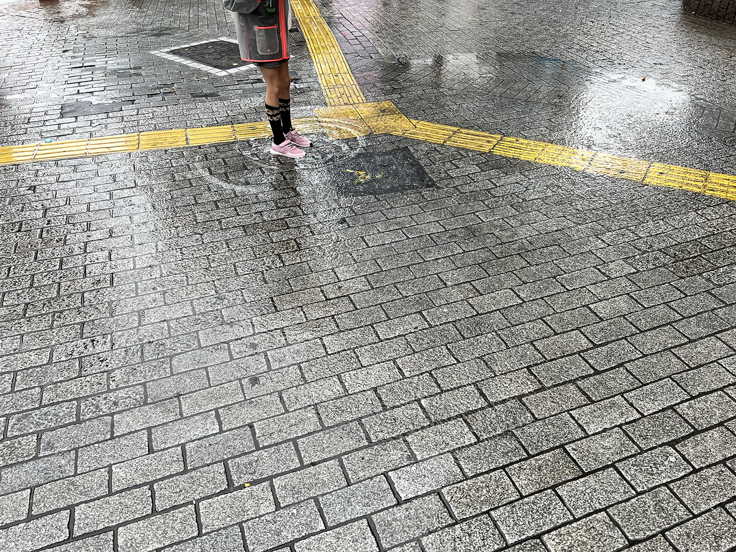 Tourists brave Typhoon Jangmi to queue at two famous sites in Tokyo ...